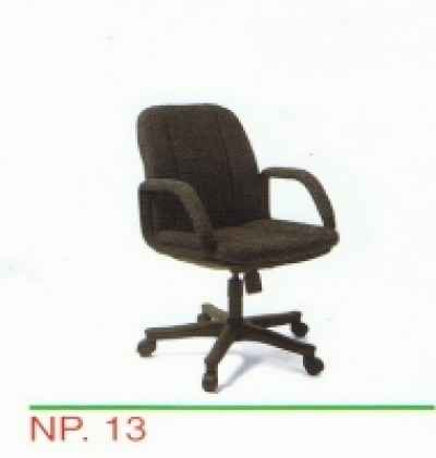 NP 13
